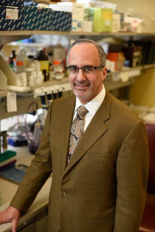 Pesquisadores da Mayo Clinic identificam proteínas ligadas à ...