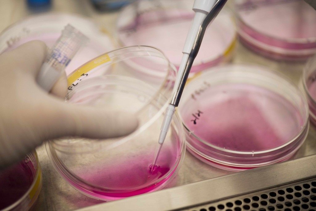 Mayo Clinic Receives Cancer Center Of Excellence Designation From The