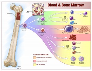 Mayo Clinic Q and A: Researchers studying variety of potential new ...
