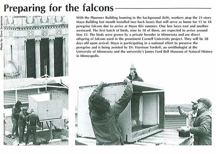 #ThrowbackThursday: Mayo lends a hand to a rare bird - Mayo Clinic News ...