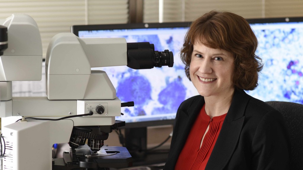 Pretty Parasites With Dr. Pritt, part 5: Bad-news bugs - Mayo Clinic ...