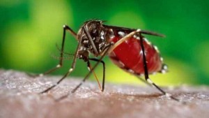 Zika: What You Need to Know About the CDC Travel Advisory - Mayo Clinic ...