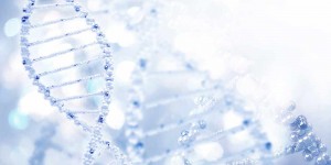 4 tips for patients seeking individualized medicine - Mayo Clinic News ...