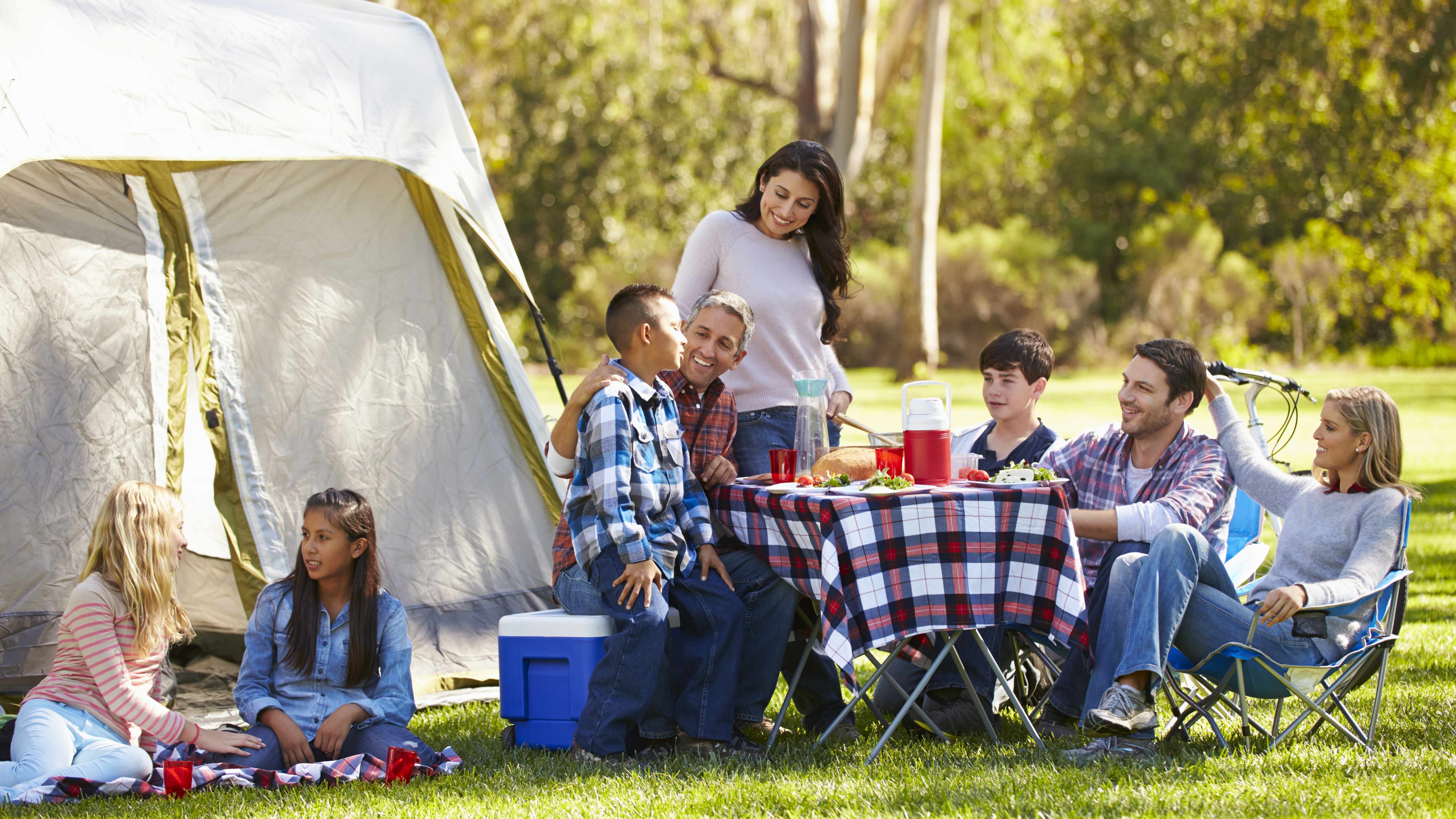 Family Reunion Picnic Images