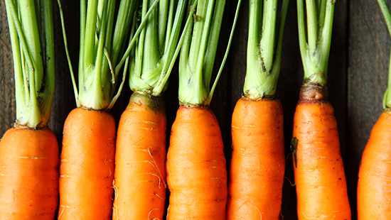 Mayo Clinic Minute: Why you should pick carrots for good health - Mayo ...