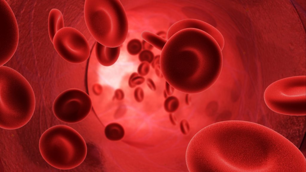 Mayo Medical Laboratories, National Decision Support Company team up to ...