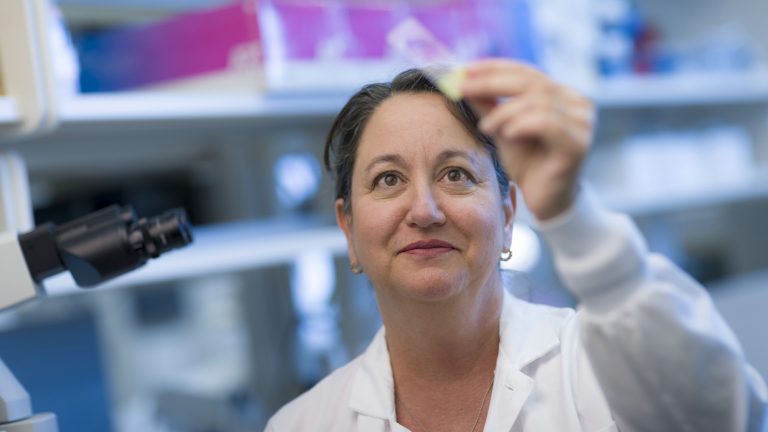 Science Saturday: Quest to unmask an elusive immune cancer - Mayo ...