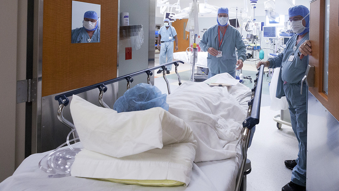 Science Saturday: Regenerating muscles after cancer surgery - Mayo ...