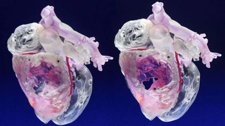 Science Saturday: Evolution of cardiac regeneration - Mayo Clinic News ...