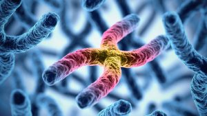 Mayo researchers reveal gene therapy path for treating children with ...