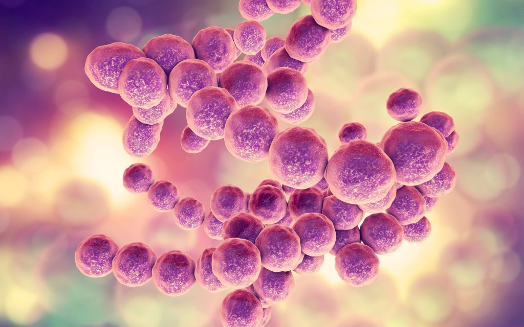 Study of mouse gut microbiome may provide clues to how cancer develops ...