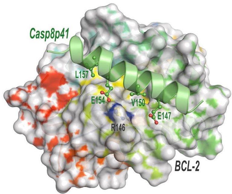 Forty years of HIV/AIDS: Will the epidemic end? - Mayo Clinic News Network