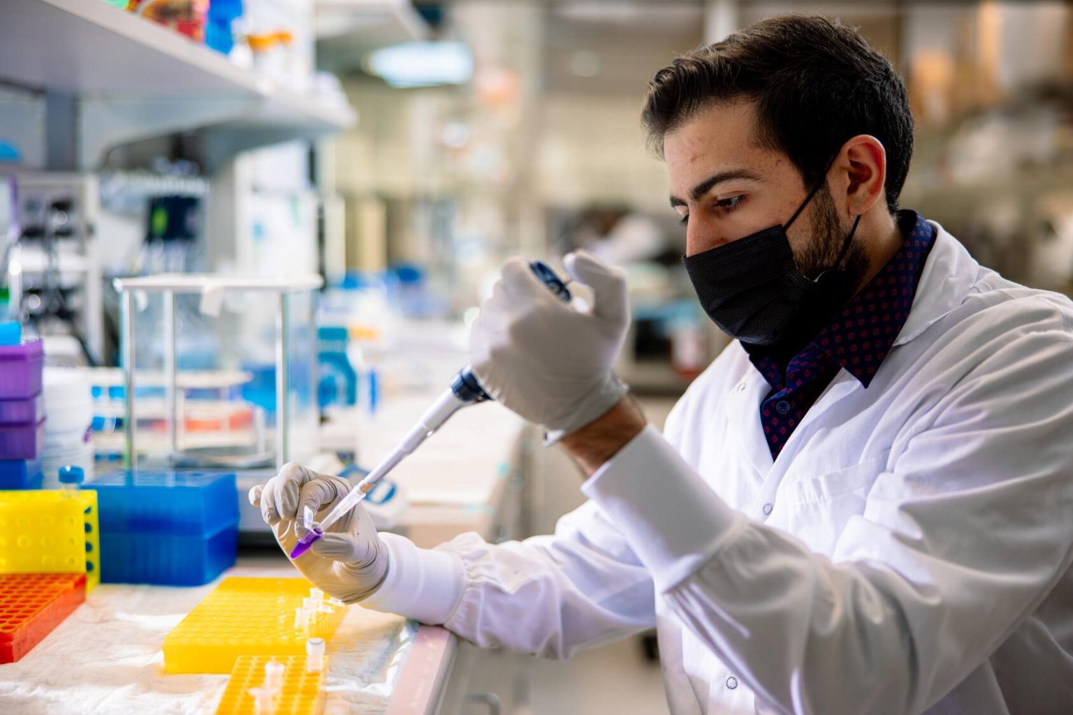 Mayo researchers, collaborators affirm useful blood biomarker for group ...