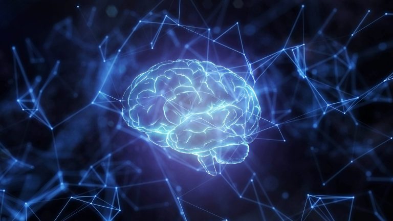 Mayo neuroscientists discover unknown brain area involved in movement ...