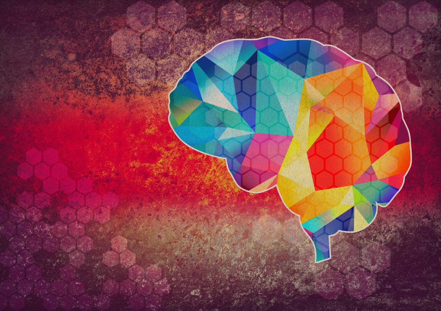 Science Saturday: Understanding the speed of brain communication - Mayo ...