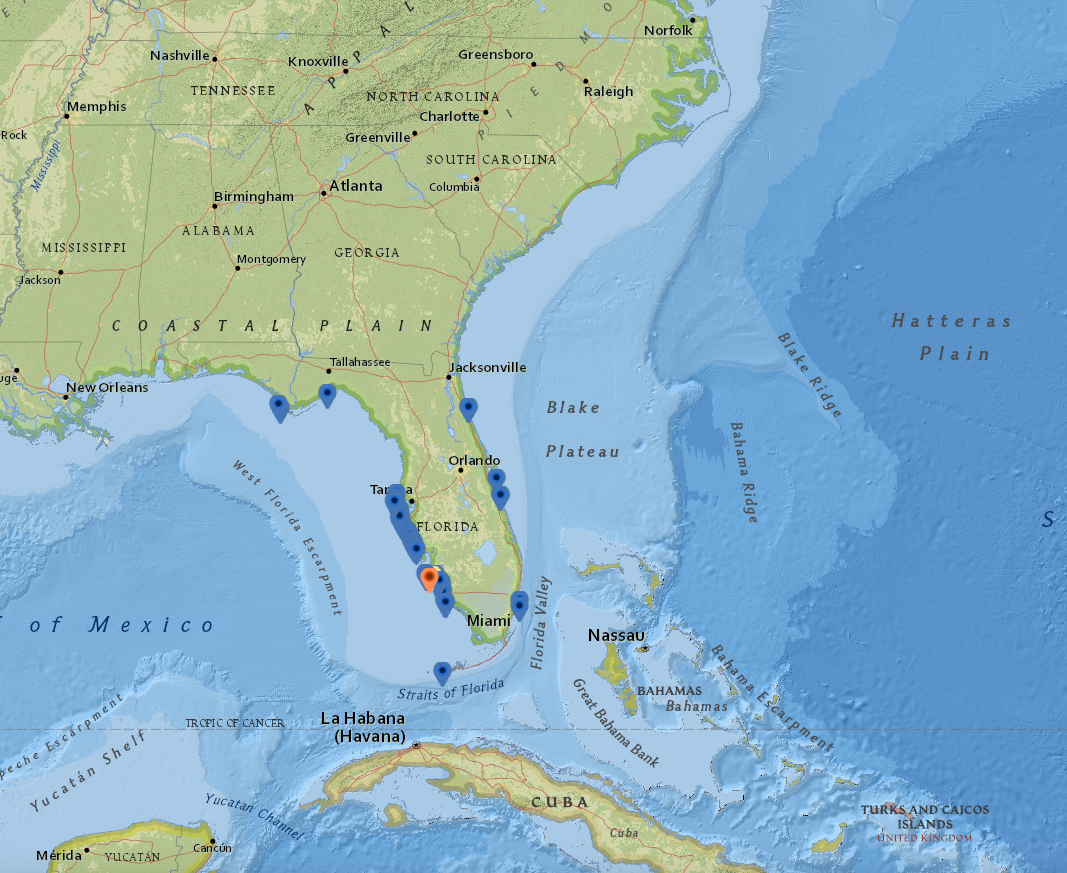 How does red tide impact beachgoers? - Mayo Clinic News Network