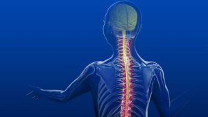 Pain in the back: Preventing and treating spinal arthritis - Mayo ...