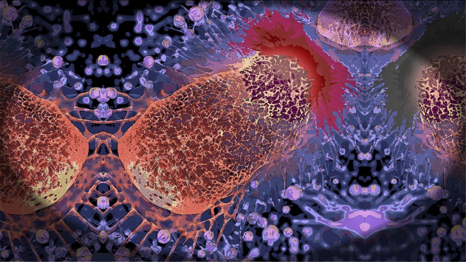 Zooming in on rare bone cells that drive osteoporosis - Mayo Clinic ...