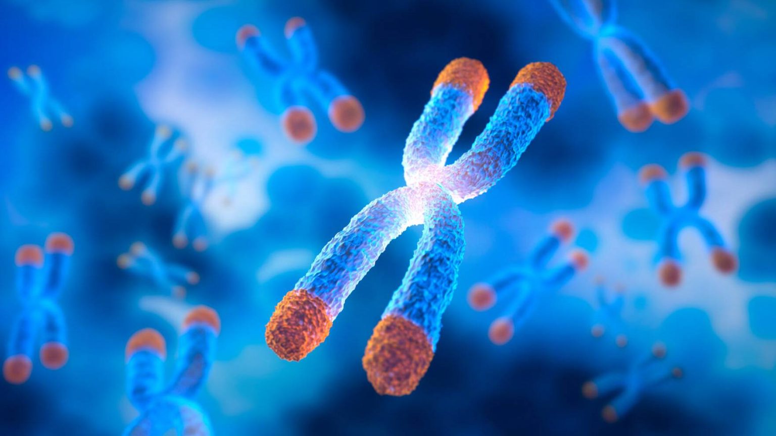 Mayo Clinic study sheds light on rare genetic disorder and blood ...