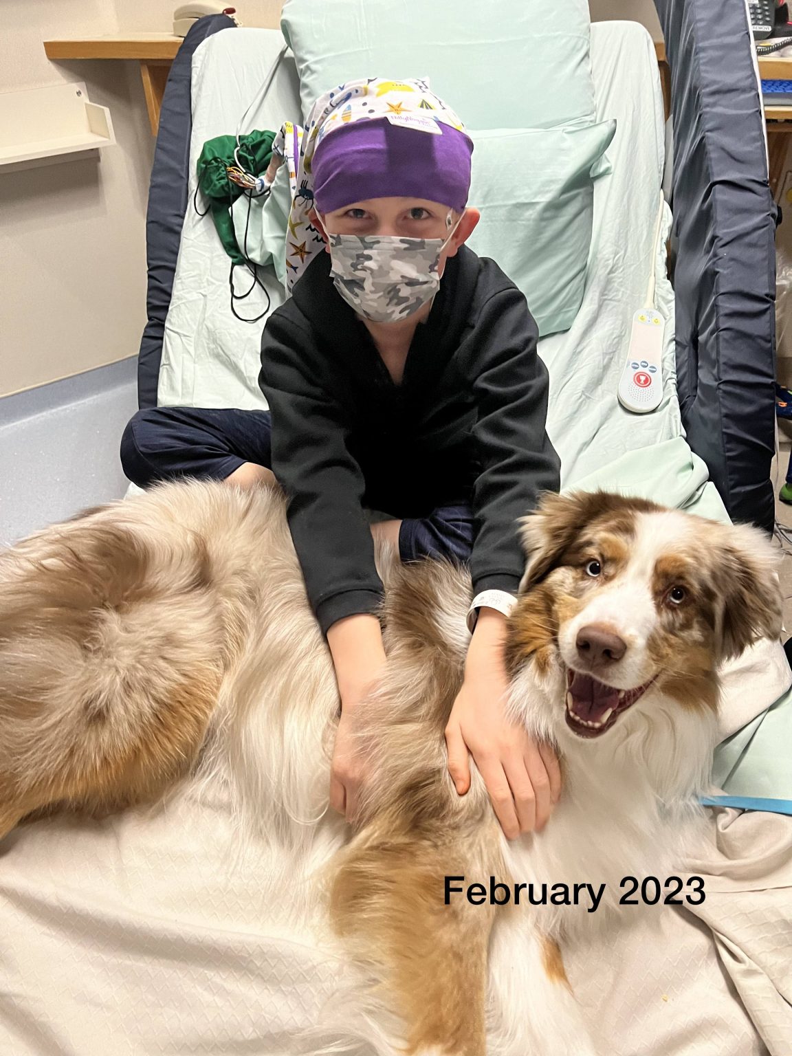 'Dogtor' and doctor return joy to boy with severe epilepsy - Mayo ...