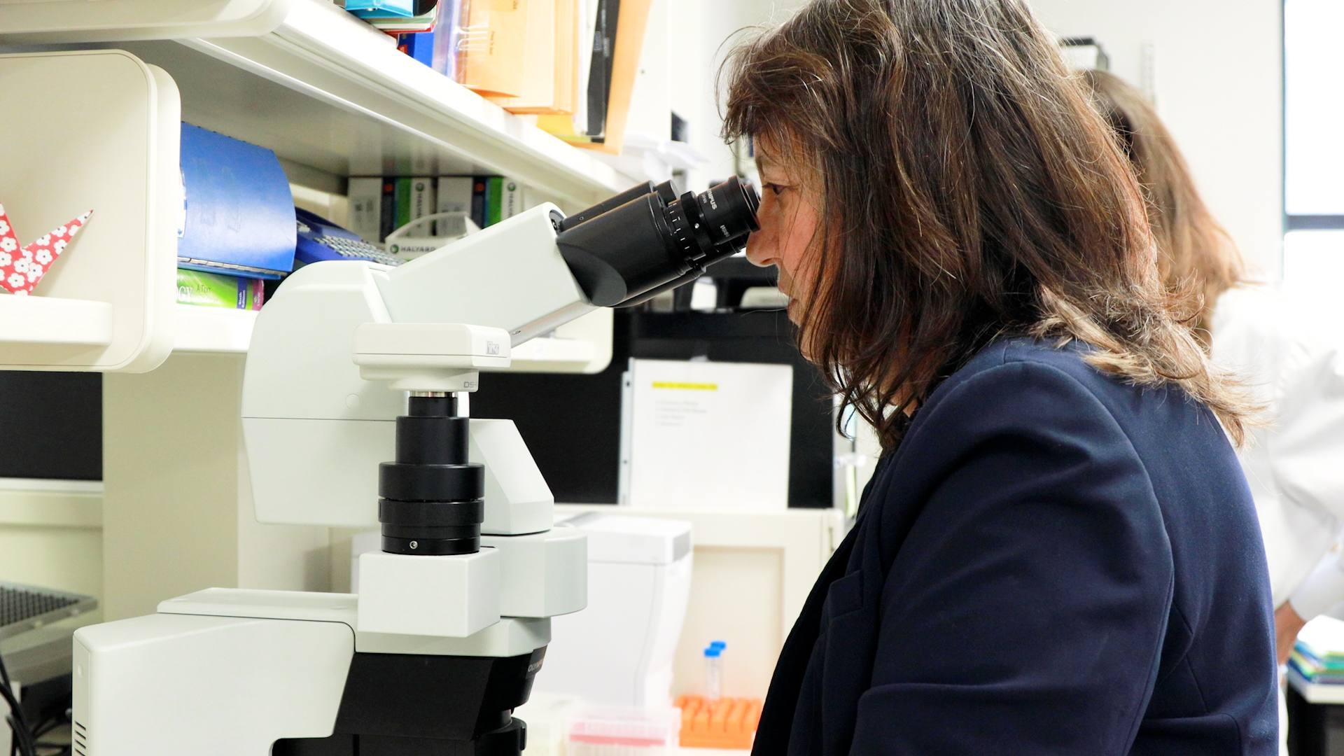 Mayo Clinic Minute: How precise diagnosis of lymphoma offers patients ...