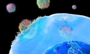 Fighting lymphoma: Treatment options include alternatives to ...