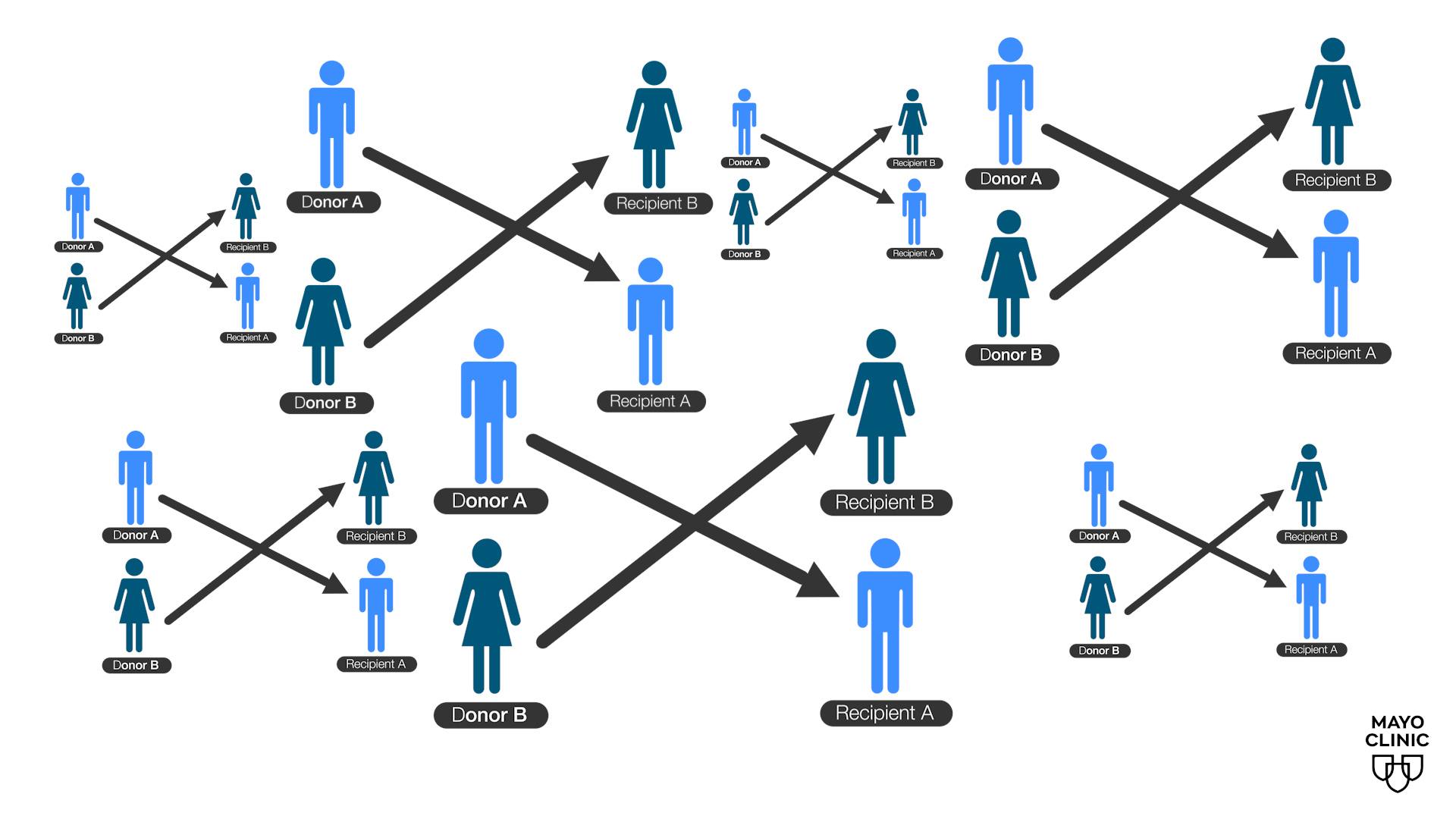 What is a Living Donor Chain? - Baton Rouge Clinic