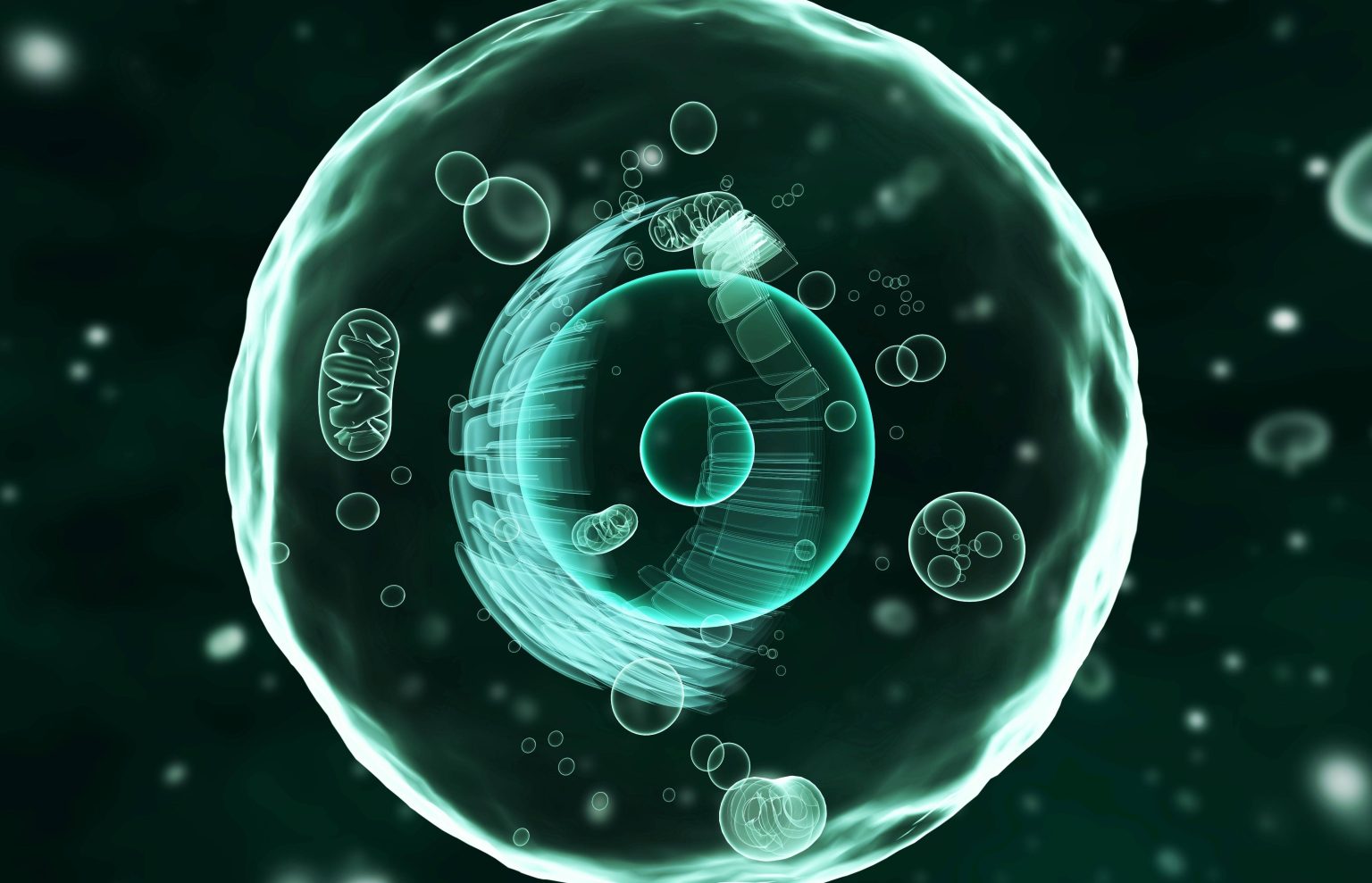 Mayo's new 'omics' strategy leaps into the future - Mayo Clinic News ...