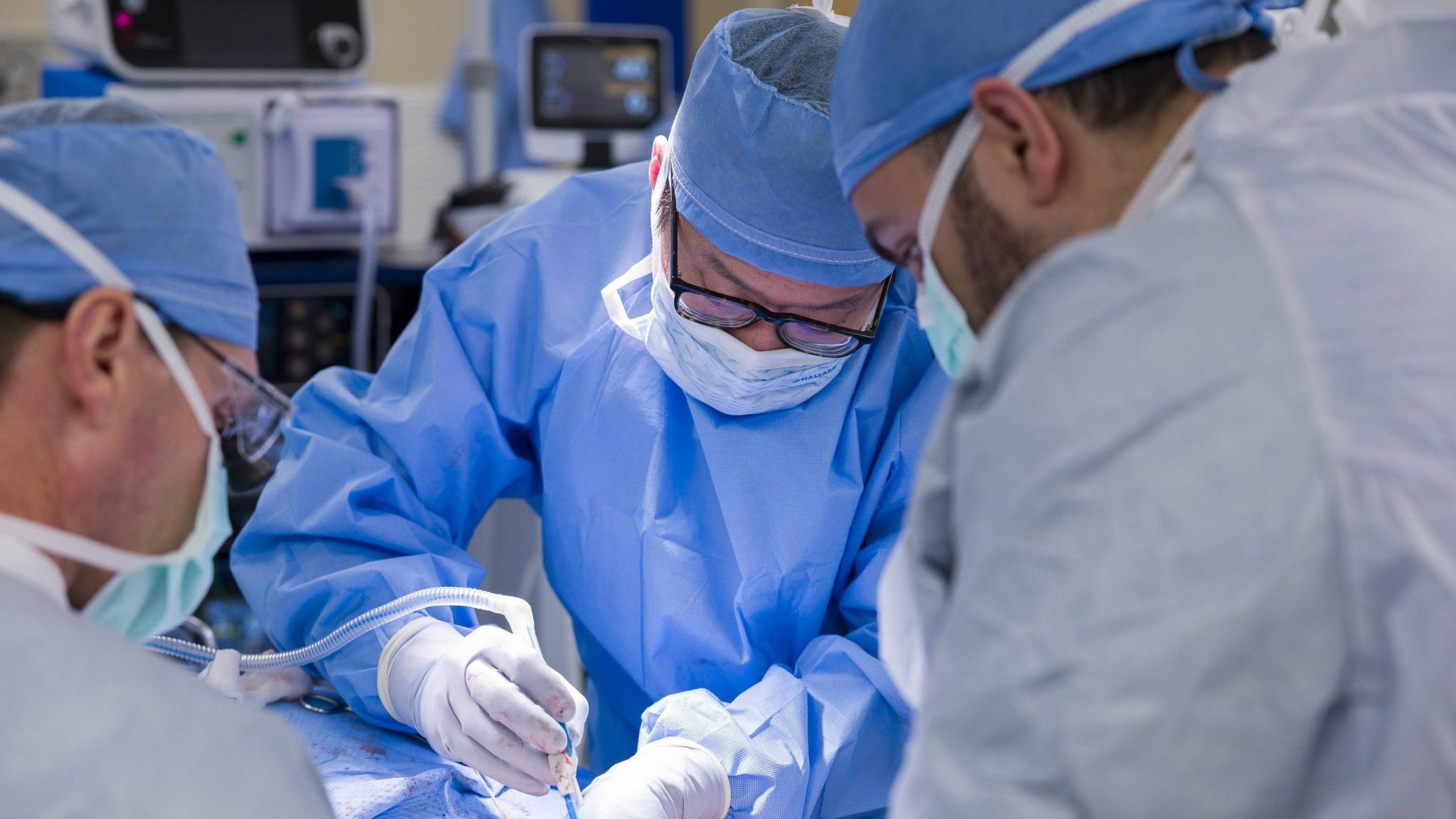 Paving the way for future larynx transplants through regenerative ...