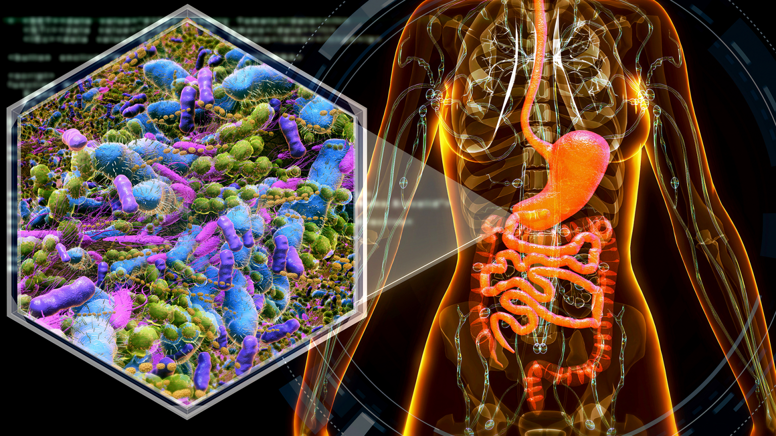 Mayo researchers develop tool that measures health of a person's gut ...
