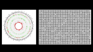 Mayo Clinic's AI tool offers a new way to visualize disease - Mayo ...