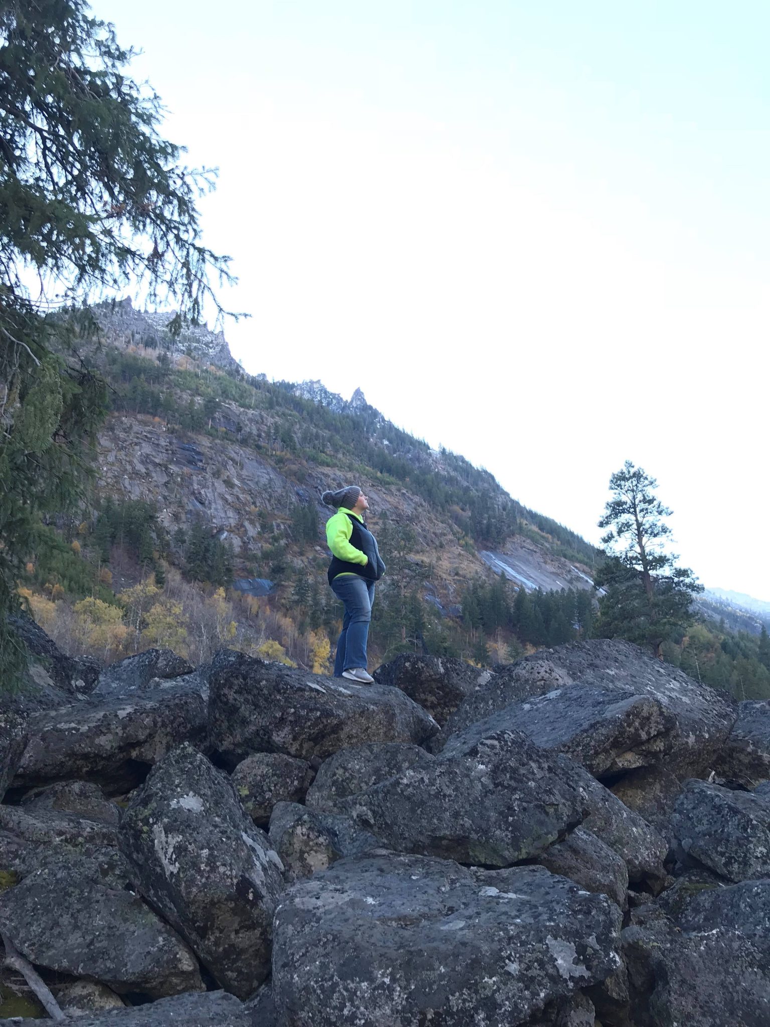 New test distinguishes between prion disease and other causes of ...