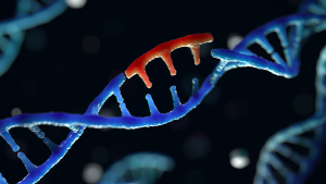 Groundbreaking discovery links inherited mutation to fatty liver ...