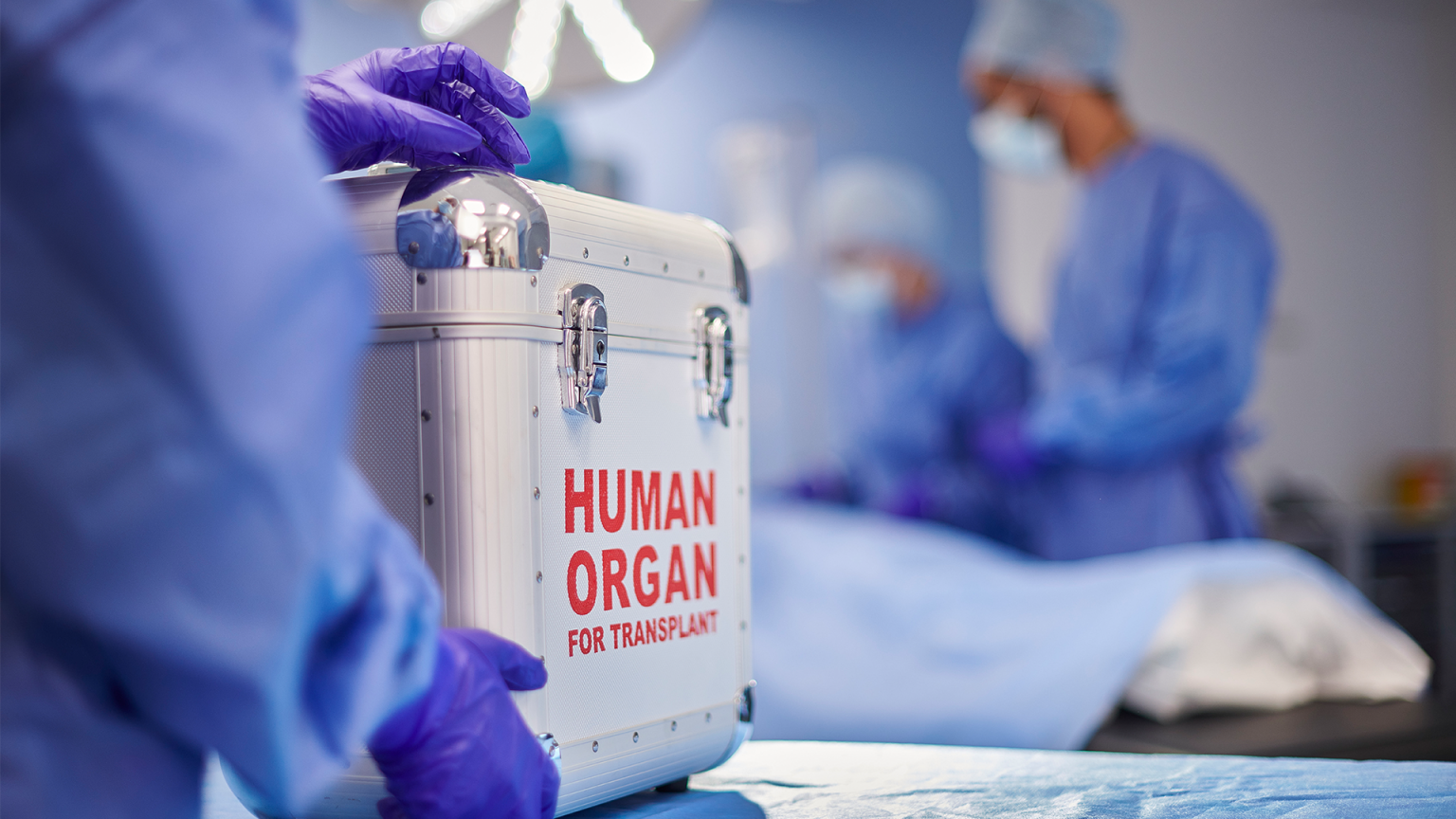 Mayo Clinic discovery could mean better access to more donor hearts and ...