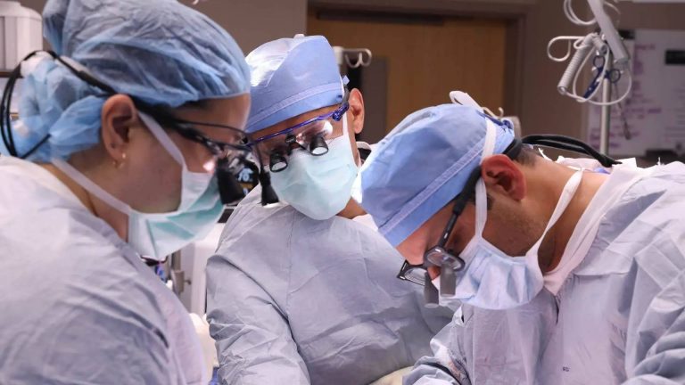 Mayo Clinic study finds new post-liver transplant protocol results in 0 ...