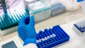 Consejera genética responde preguntas frecuentes sobre pruebas ...